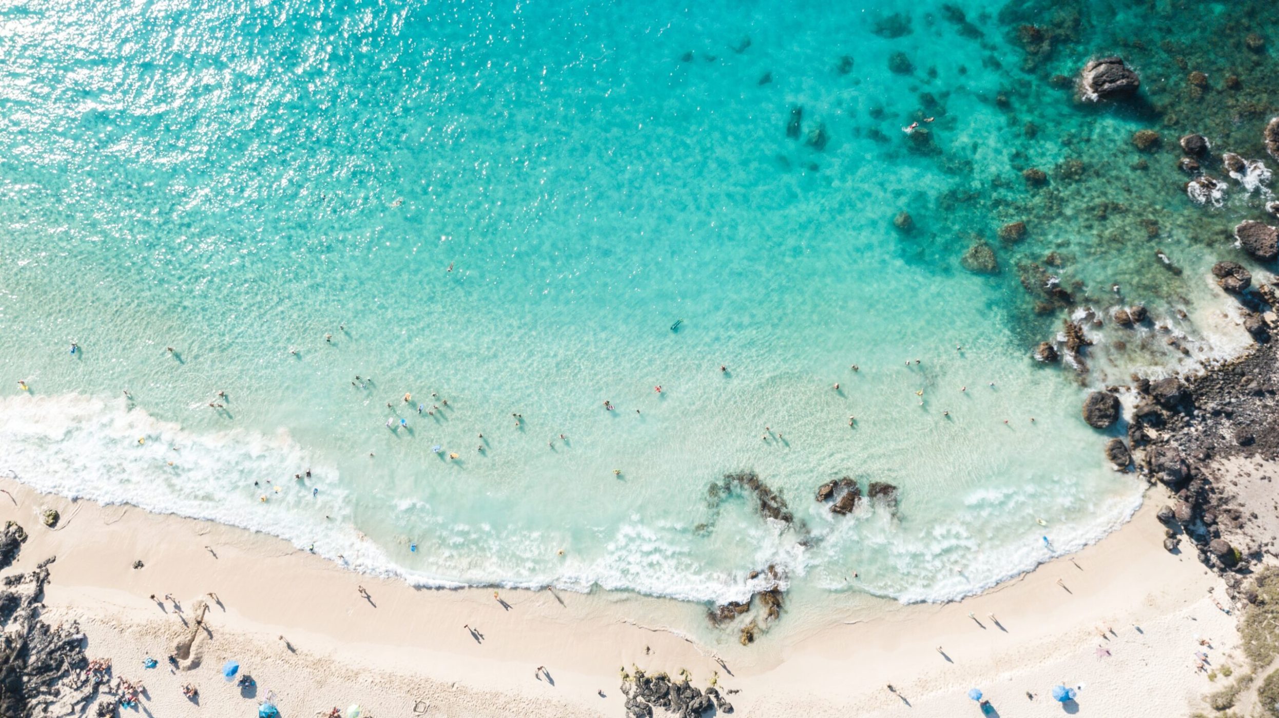Booking The Best Kona Boat Tours: A Guide